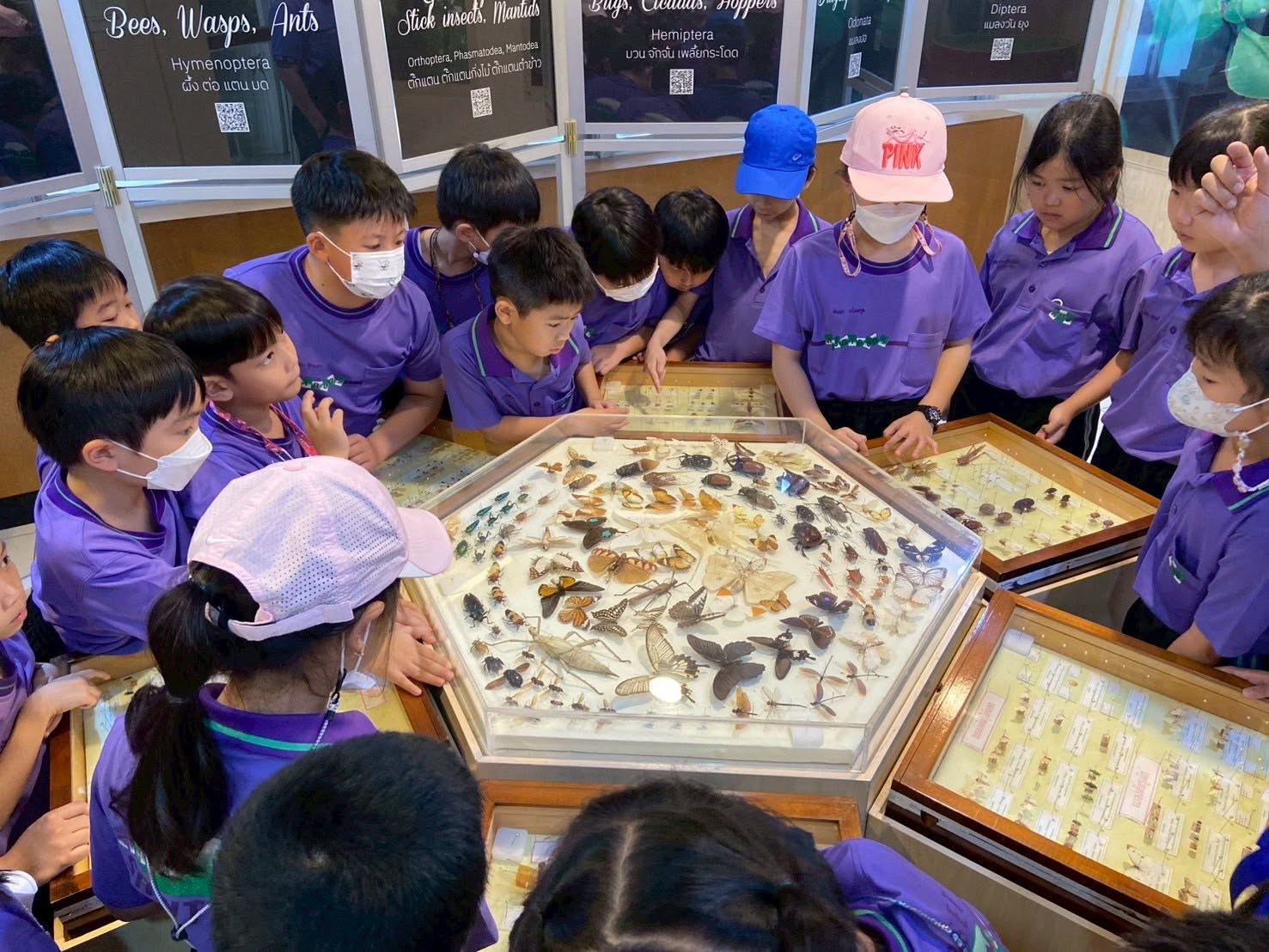 Grade 3 Field Trip – Insect Museum and Bee Learning Center - Satit Kaset IP